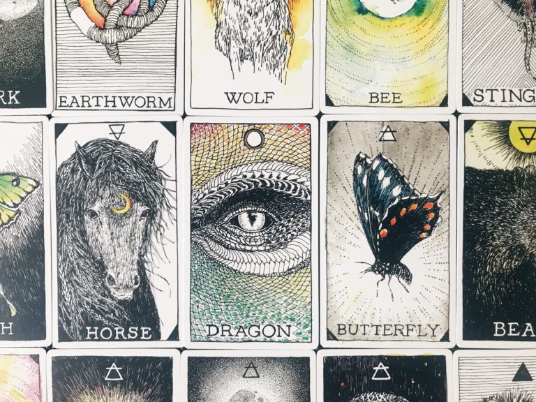 The Wild Unknown Animal Spirit Deck – ILONABARNHART