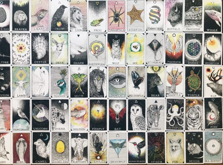 The Wild Unknown Animal Spirit Deck – ILONABARNHART